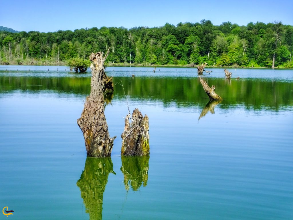راهنمای بازدید از دریاچه الندان | یک رؤیای خوش در چهاردانگه ساری | ره ...