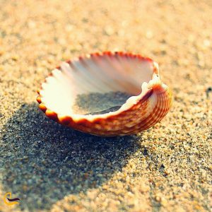 جزیره لاوان | جذابیتی دیگر در جنوب جادویی ایران | مجله گردشگری ره بال آسمان