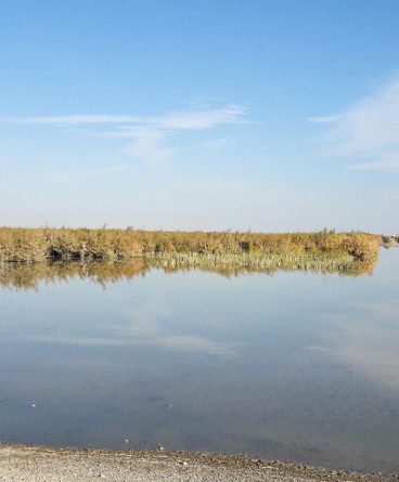 جاهای دیدنی زابل | راهنمای سفر زابل | مجله گردشگری ره بال آسمان