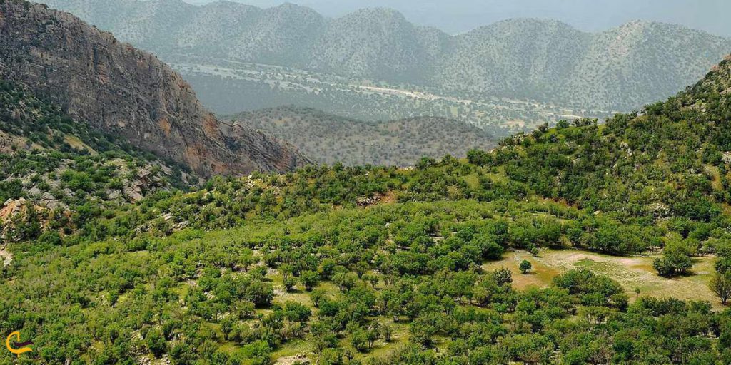 جاهای دیدنی کازرون | راهنمای سفر کازرون | ره بال آسمان