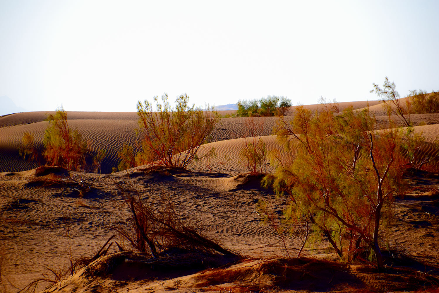کویر ریگ جن سمنان | برمودا در ایران | ره بال آسمان