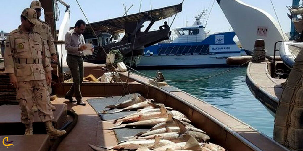 راهنمای سفر به بندر لنگه | سفر به شهر برکه‌ها | ره بال آسمان